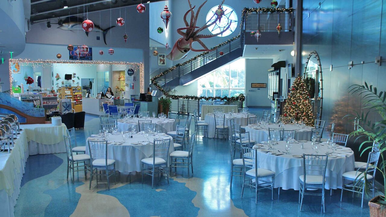 Rentals | Bermuda Underwater Exploration Institute