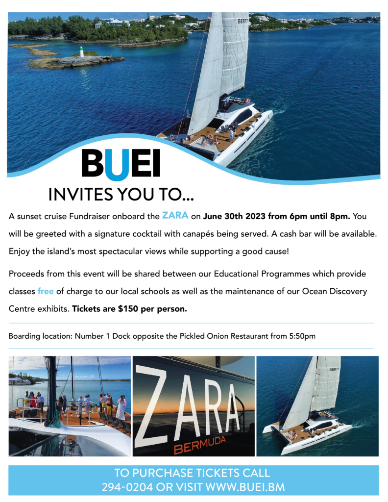 Zara Sunset Cruise | Bermuda Underwater Exploration Institute