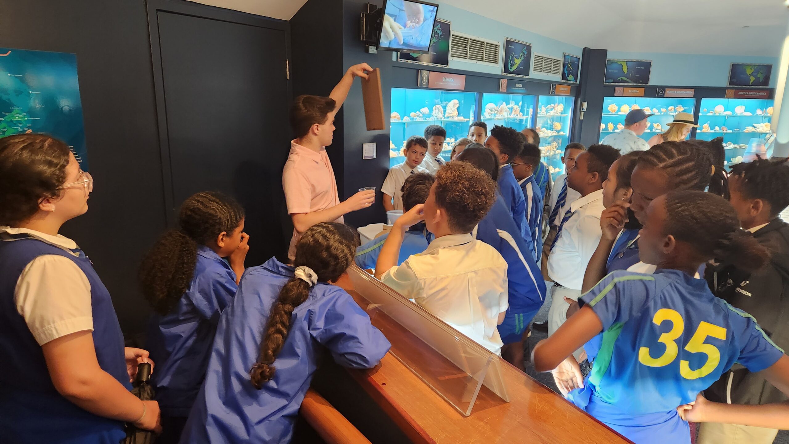 Education Gallery | Bermuda Underwater Exploration Institute