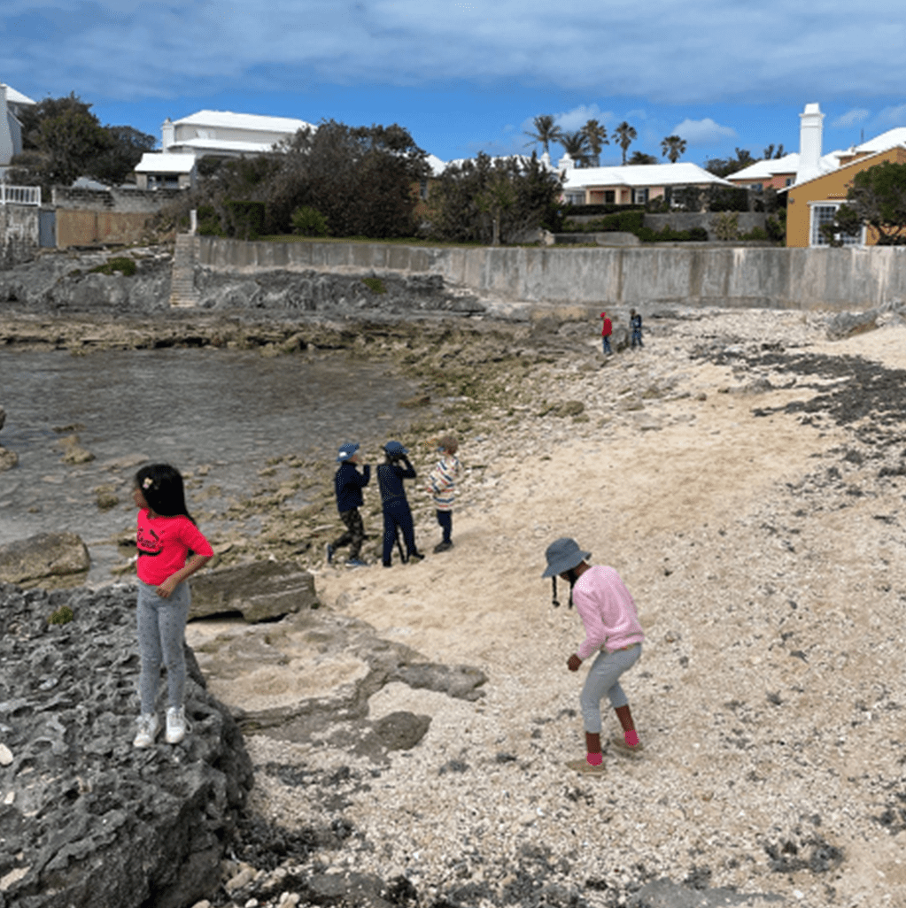 Homeschool Classes | Bermuda Underwater Exploration Institute